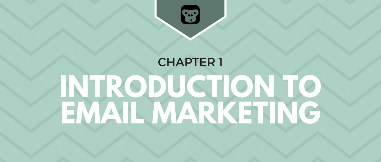 Chapter 1: Email Marketing For Local Service Businesses | GorillaDesk