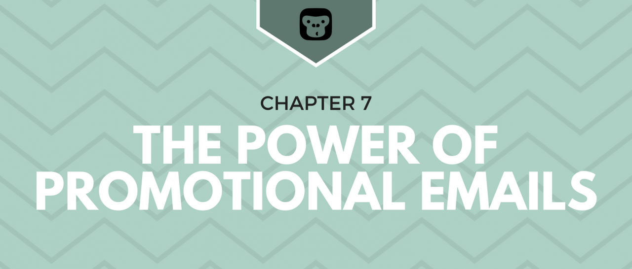 Chapter 7: The Power of Promotional Emails (With Top Examples)