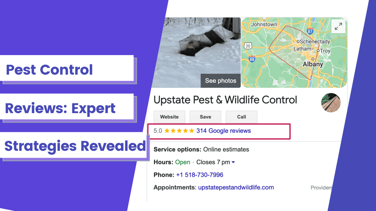 A Guide for Mastering the art of Pest Control Review Collection