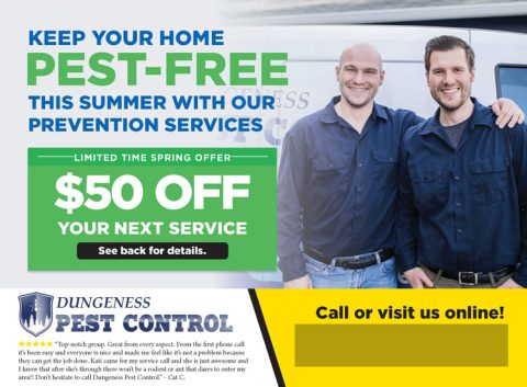 How to craft pest control ads that convert (+10 examples)