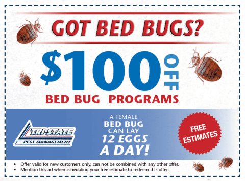 How to craft pest control ads that convert (+10 examples)